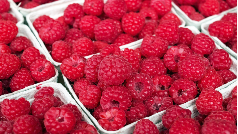 Ruszają nabory KPO. Sprawdź kwoty i terminy - Polski Portal Rolniczy i ...